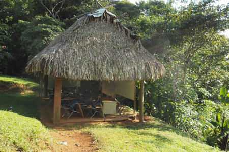 [99th Cruise Report]Cristobal, Panama ~Visiting the Indigenous Emberá ...
